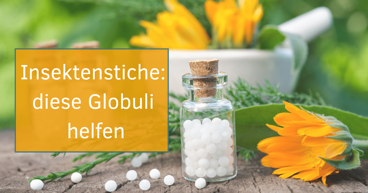 Insektenstiche mit Globuli behandeln - Ulrike Schlüter